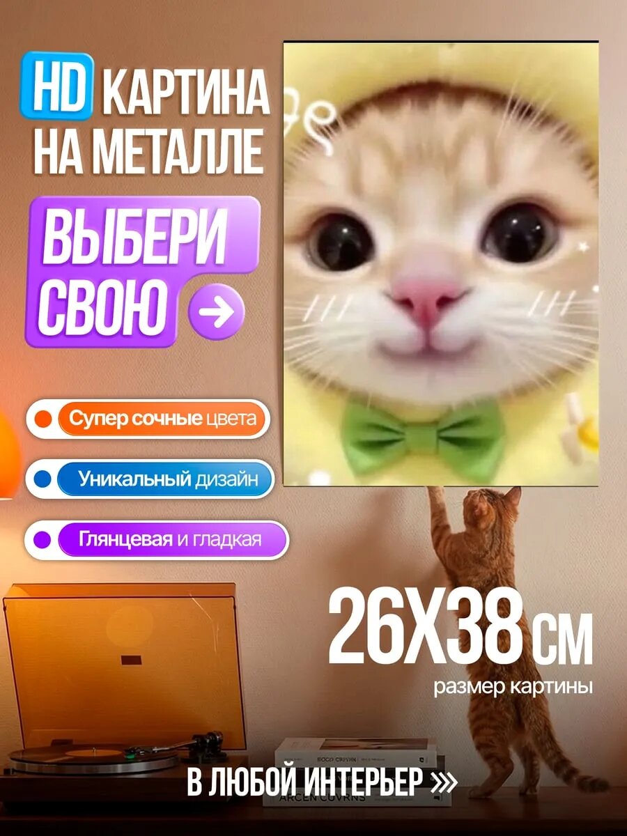 Картина на HD металле Кот в костюме