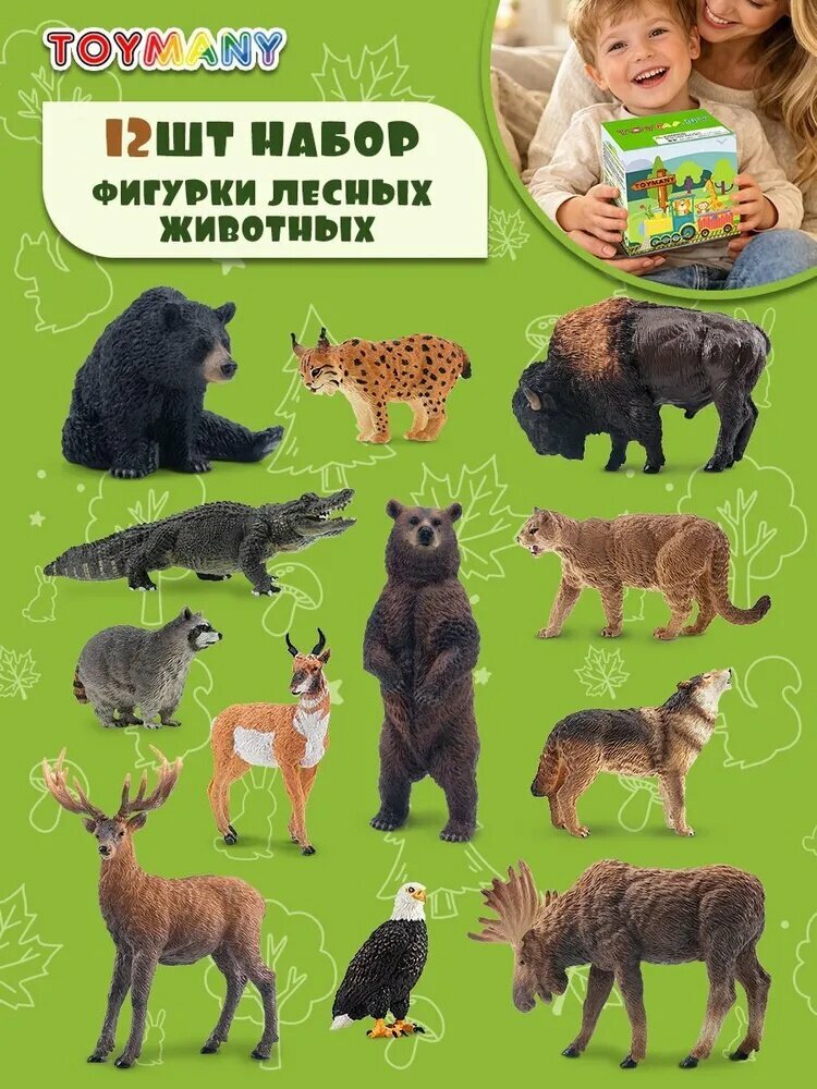 Toymany Набор фигурок животных, 12 шт, Североамериканское лесное животное, подарок для детей
