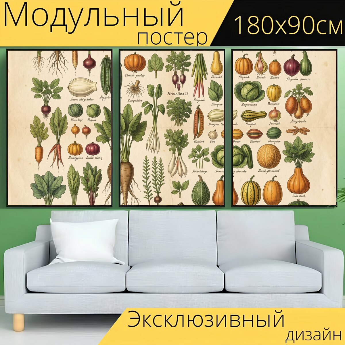 Модульный постер "Ботанические овощи на винтажной схеме. Старинная ботаническая иллюстрация с множеством овощей и корнеплодов." 180 x 90 см. для интерьера на стену в тубусе