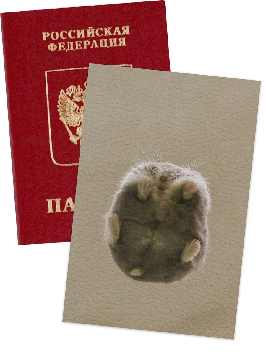 Обложка для паспорта
