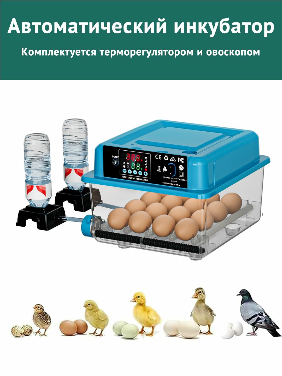 Инкубатор для яиц автоматический 220/12v, двойным дисплеем температуры и влажности, интуитивно понятный интерфейс, бирюзовый, 220 В один источник питания 220в 12в двойной дисплей