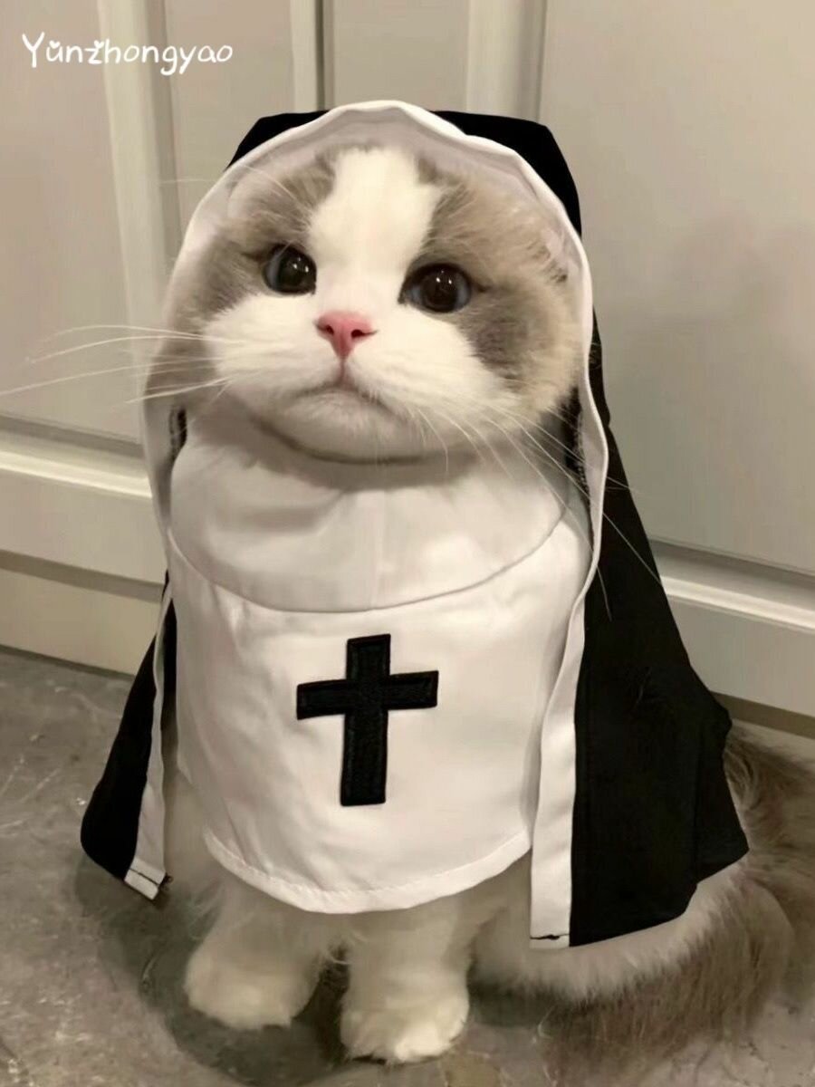 Монахийский наряд, Смешная одежда для собак и кошек, COSPLAY, Хэллоуин костюм для собаки одежда для кошек хэллоуинский костюм