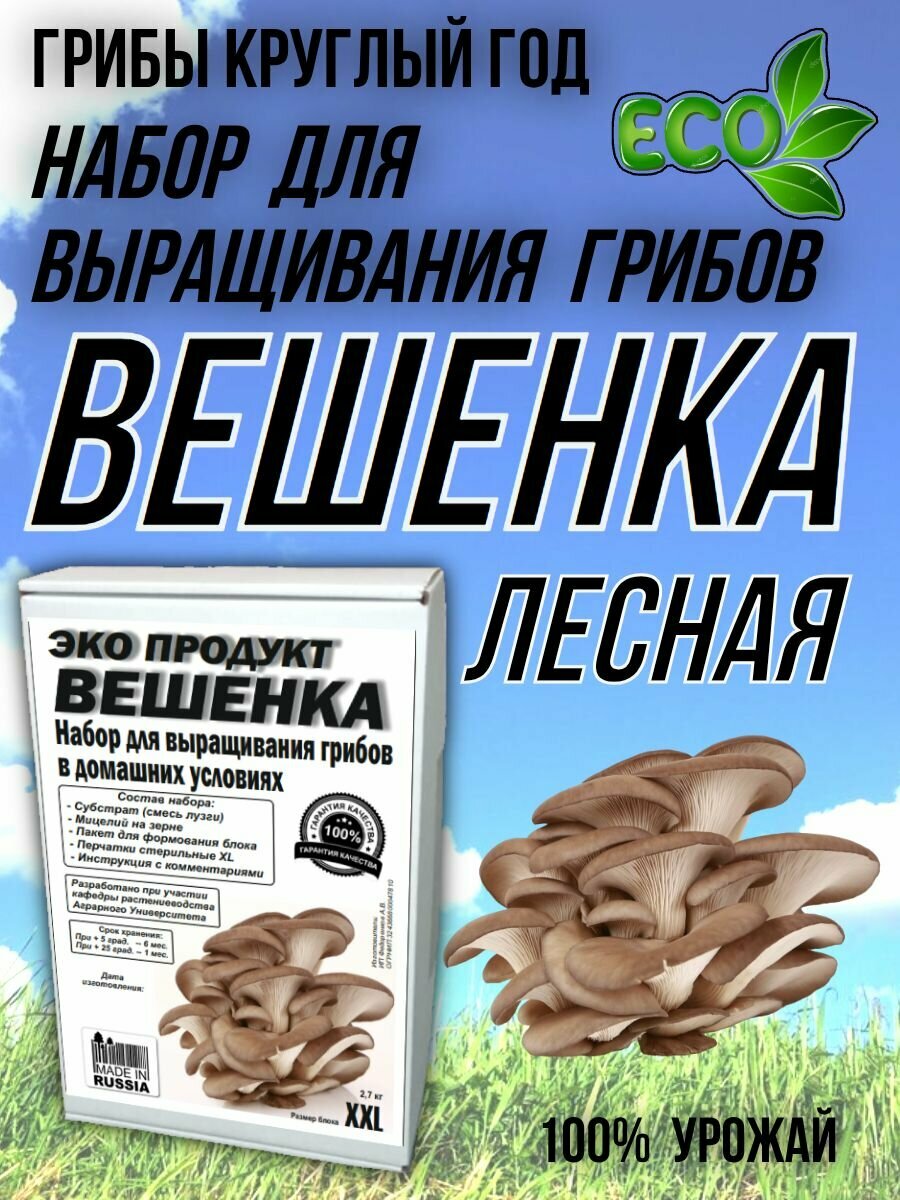 Набор для выращивания грибов (домашняя грибница)