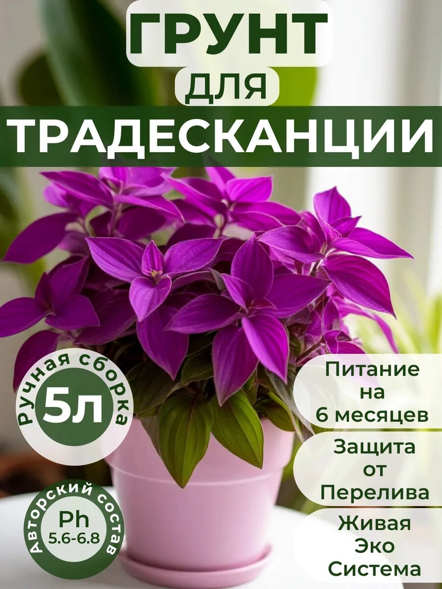 Готовый авторский грунт для Традесканции, премиум 5 литров