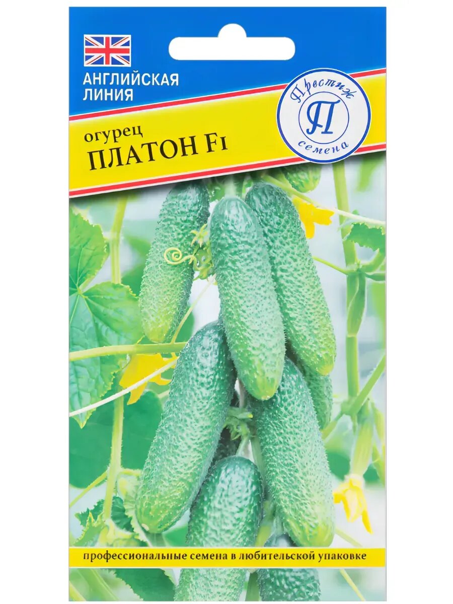 Семена Огурец Платон