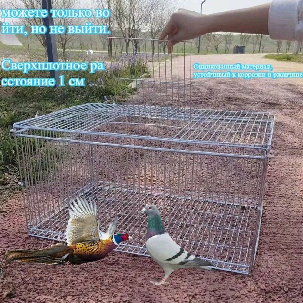 Клетки для отлова голубей и кур, размер 60*40*30см