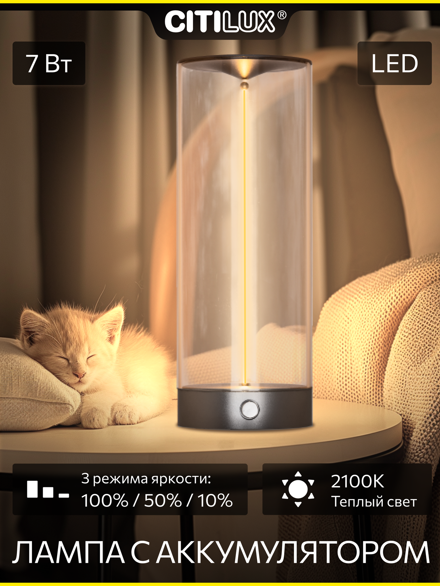 Аккумуляторный настольный светильник Citilux STRENG CL811011 Графит