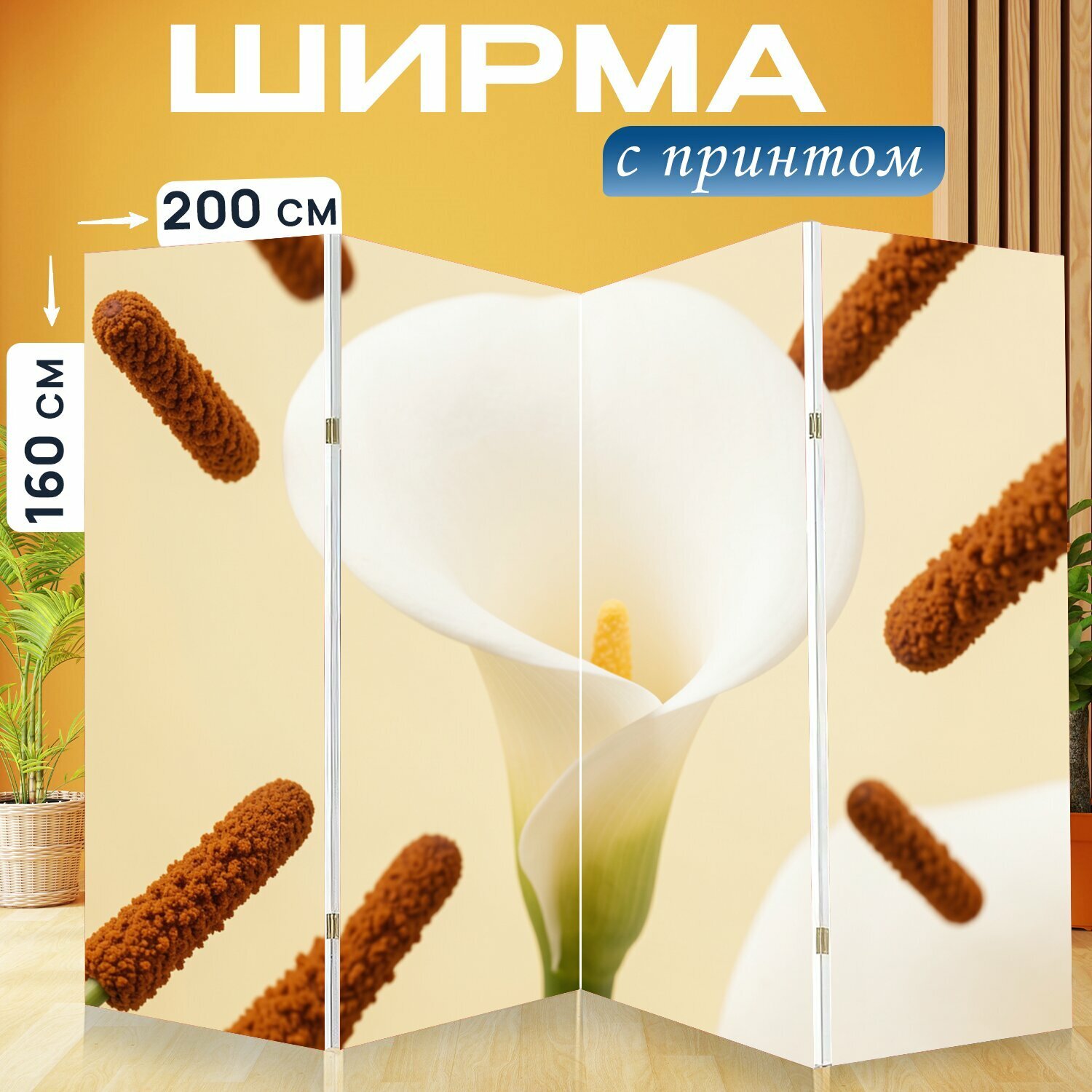 Ширма "Белая калла с пыльниками. Нежный крупный цветок с гладкими белыми лепестками и зелёным стеблем, вокруг." перегородка для зонирования комнаты с принтом 200x160 см. на холсте