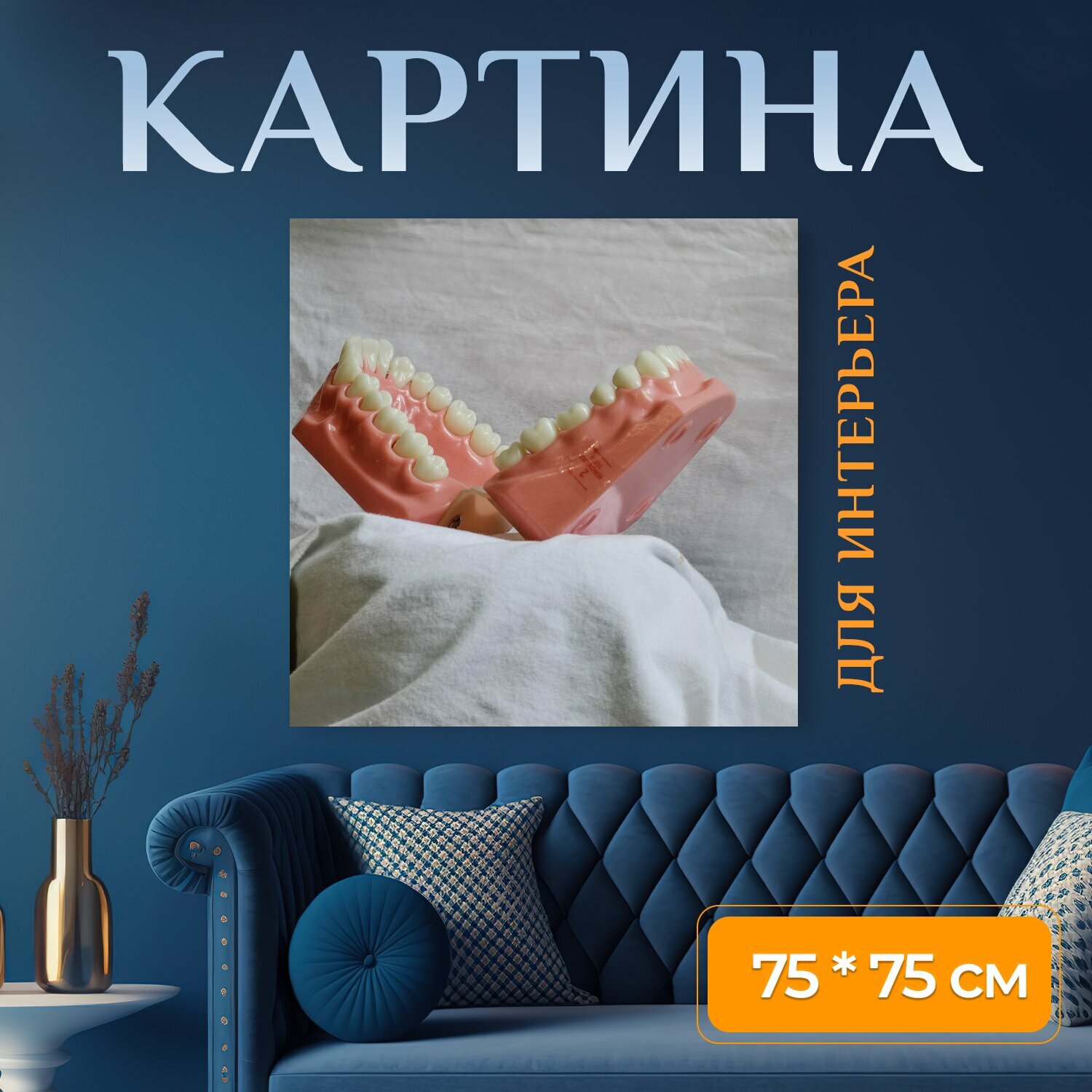 Картина на холсте "Зубы, стоматологический, стоматологическая модель" на подрамнике 75х75 см. для интерьера
