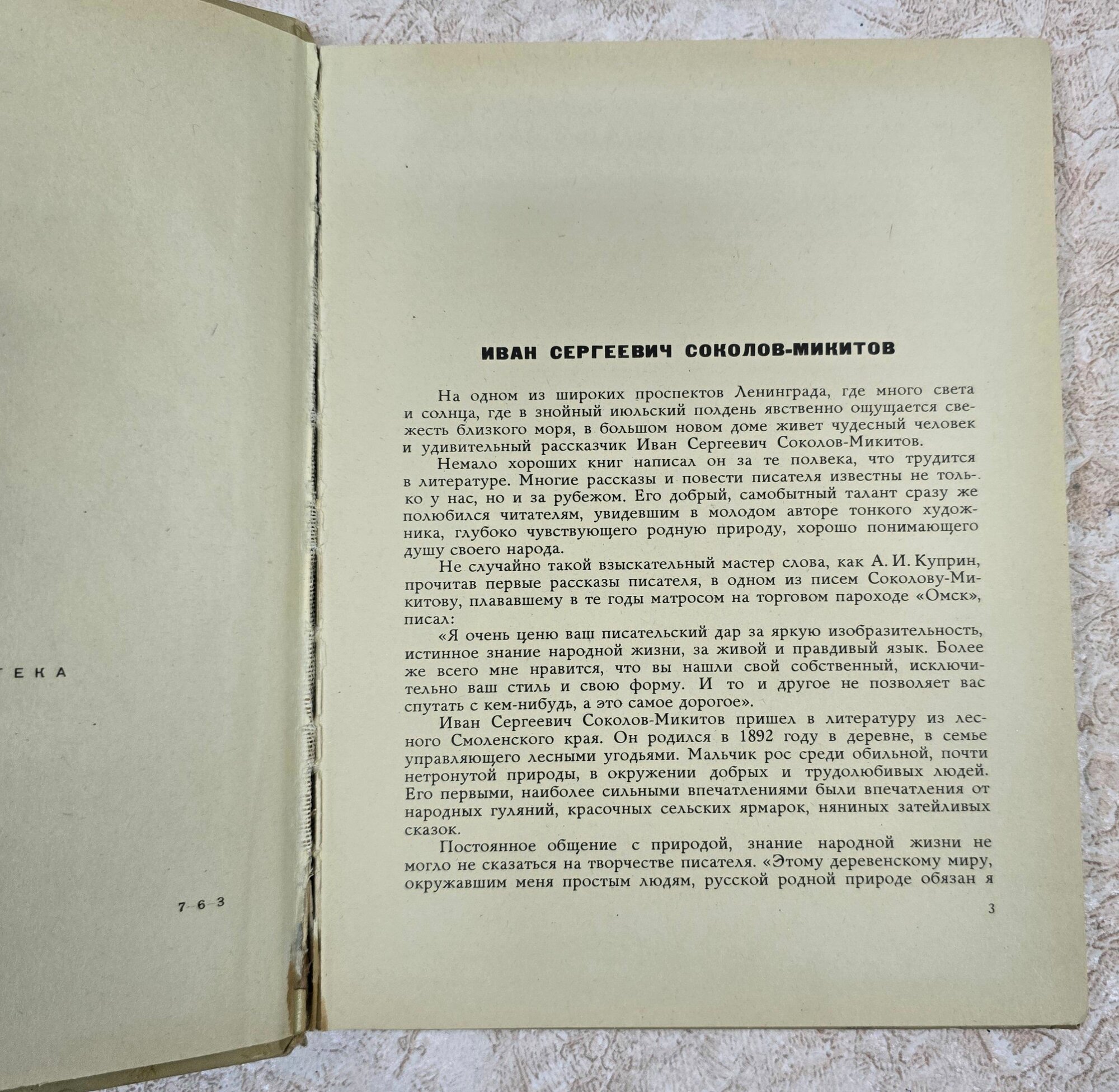 От весны до весны — фото 1