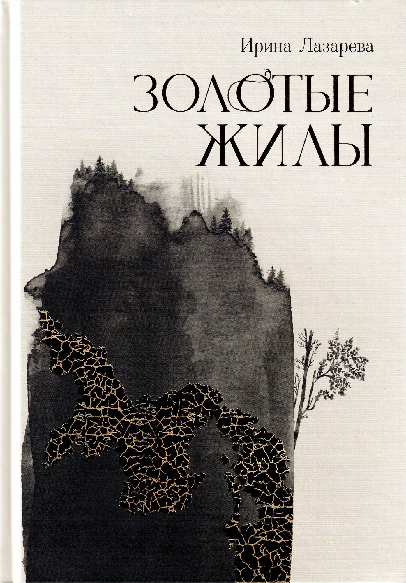 Золотые жилы: роман
