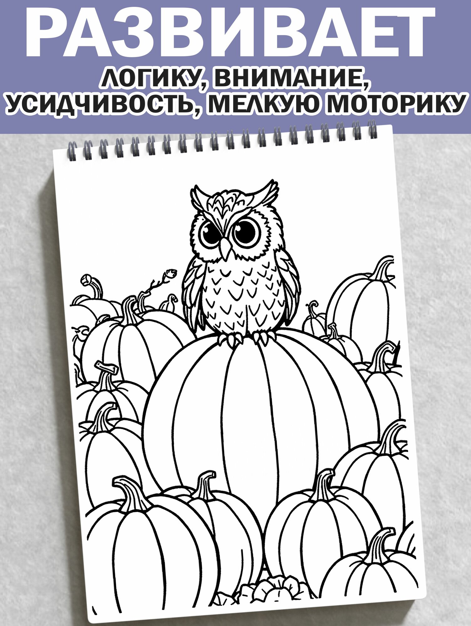 Раскраска Совы — фото 1