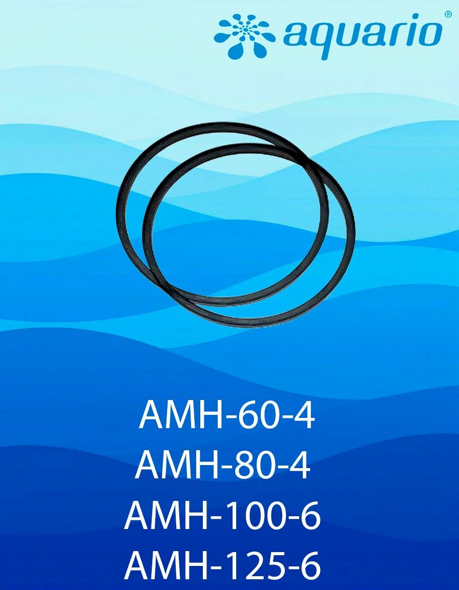 Уплотнение проточной части для насосов Aquario AMH-60-4/80-4/100-6/125-6 (комплект) (арт. 8804)
