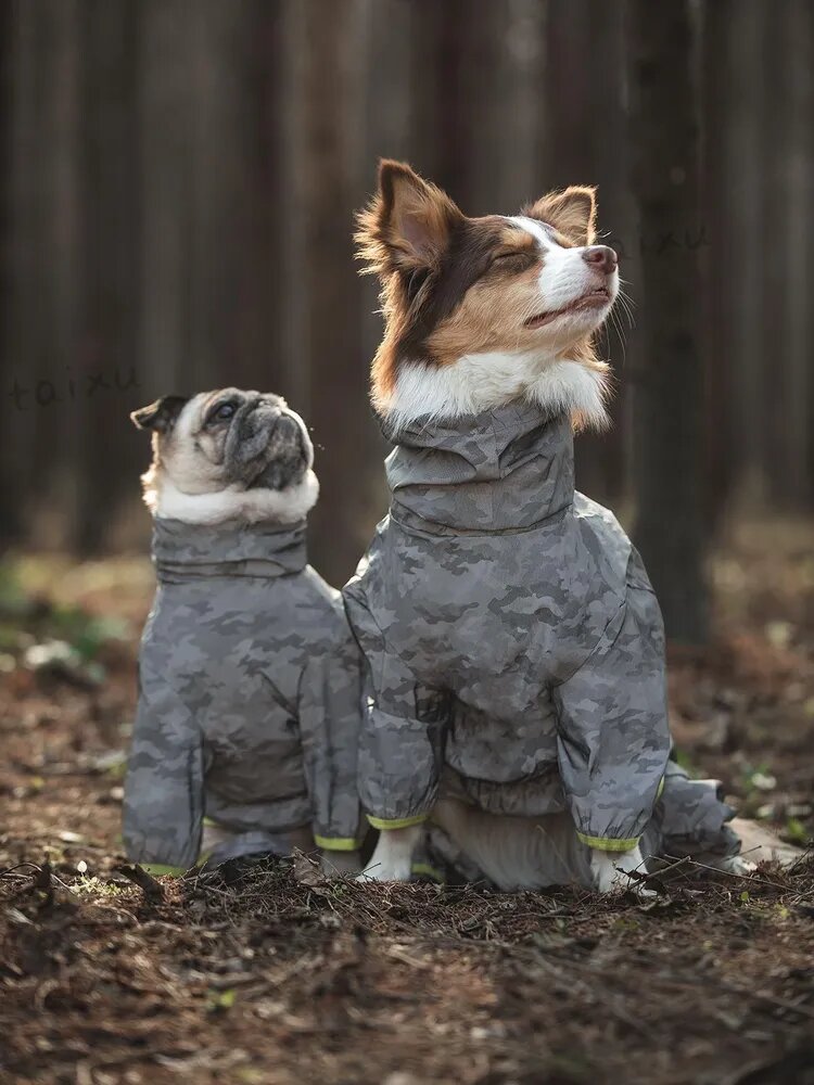 Одежда для животных. — фото 1