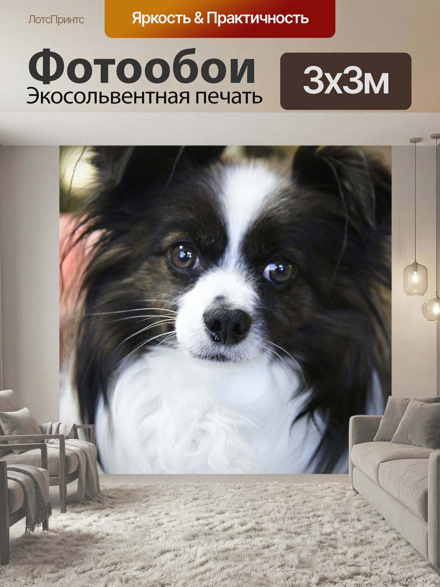 Фотообои "Собака, папильон, домашний питомец" 300x300 см. экосольвентная печать