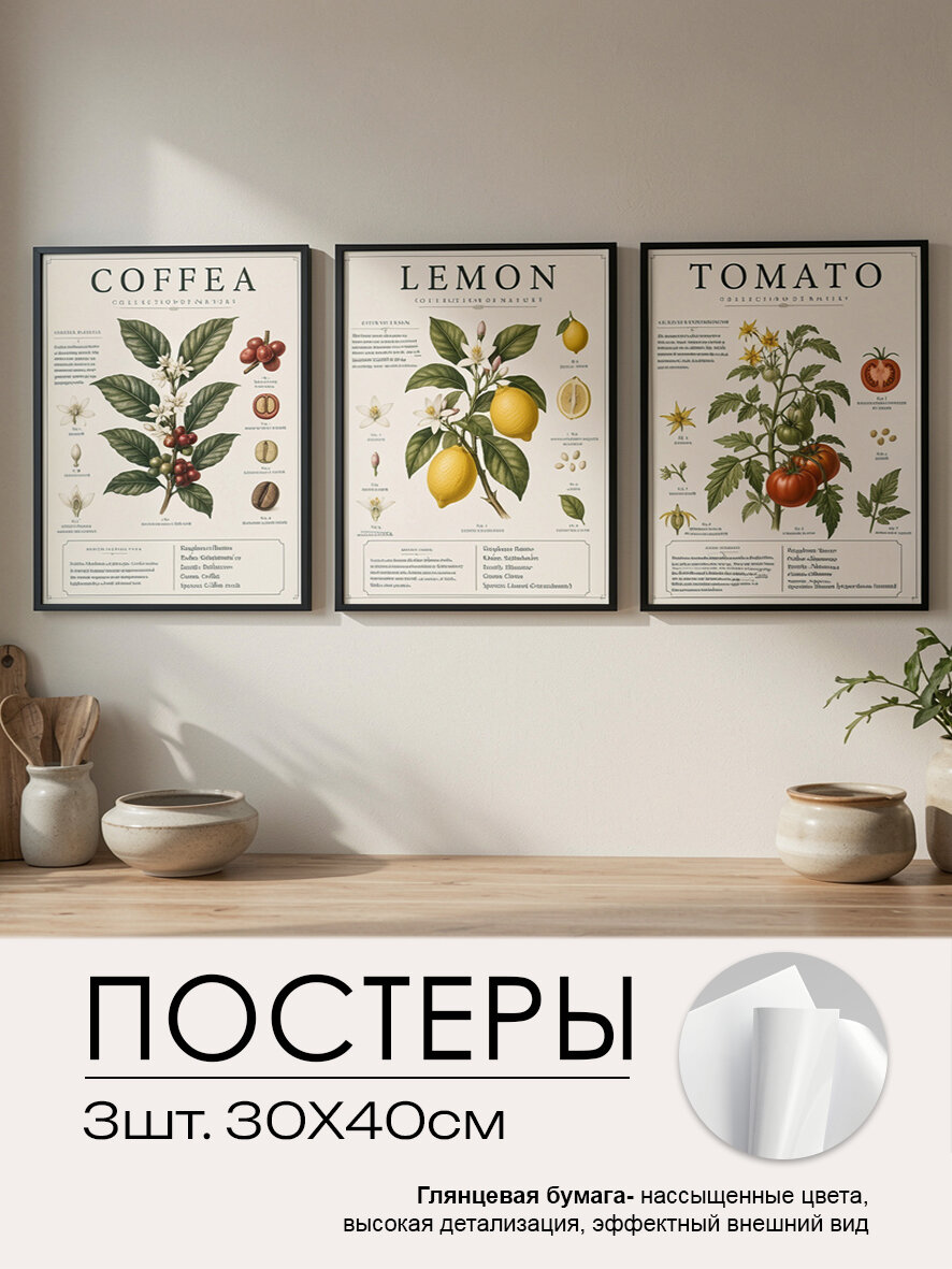 Постеры "Ботаника вкуса", 30х40 см, DeFine