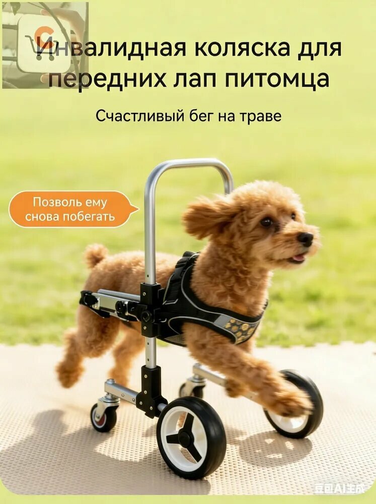 Инвалидная коляска для собак с ампутированными передними лапами, Инвалидная коляска для собак и кошек, S