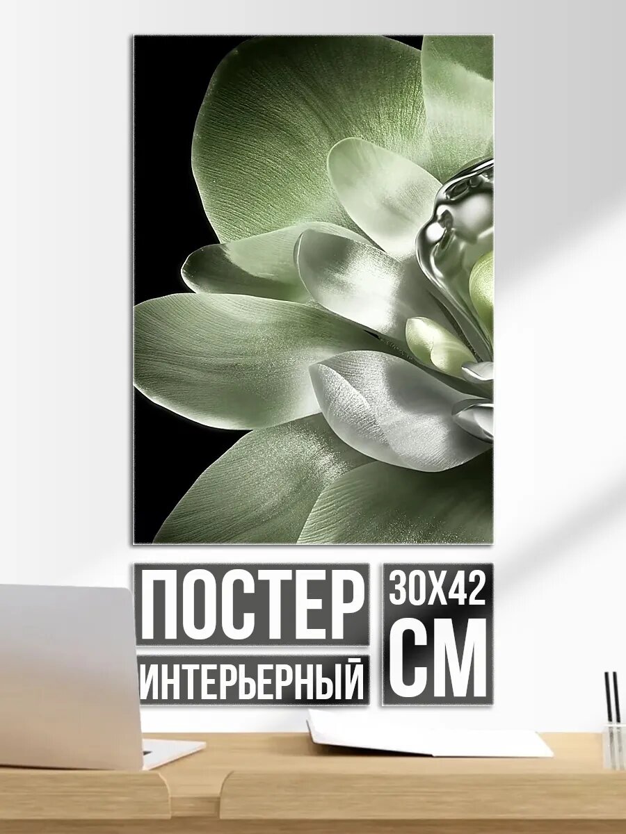 Плакат постер Цветок крупным планом