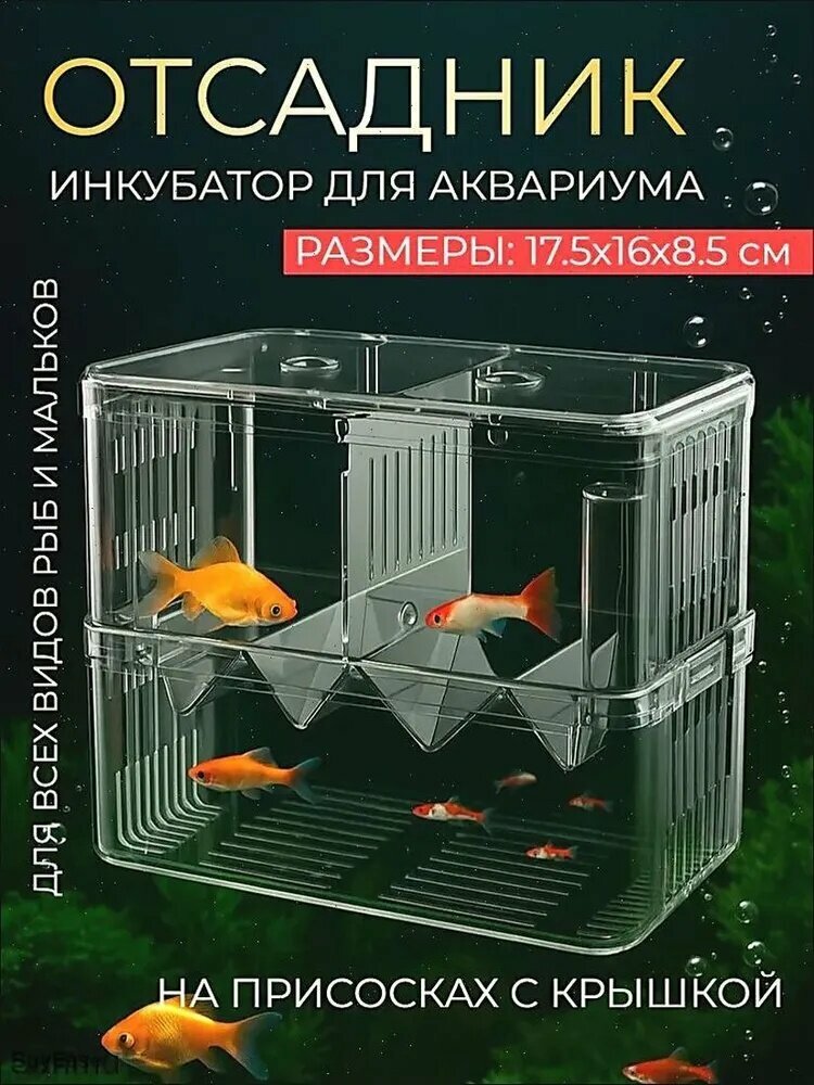 Отсадник для рыб инкубатор для мальков в аквариум 17.5х16х8.5 см
