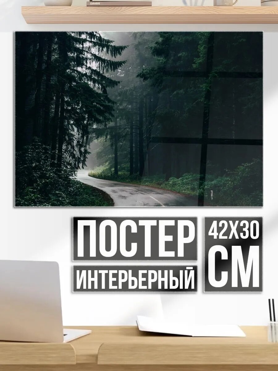 Плакат постер Туманная лесная дорога