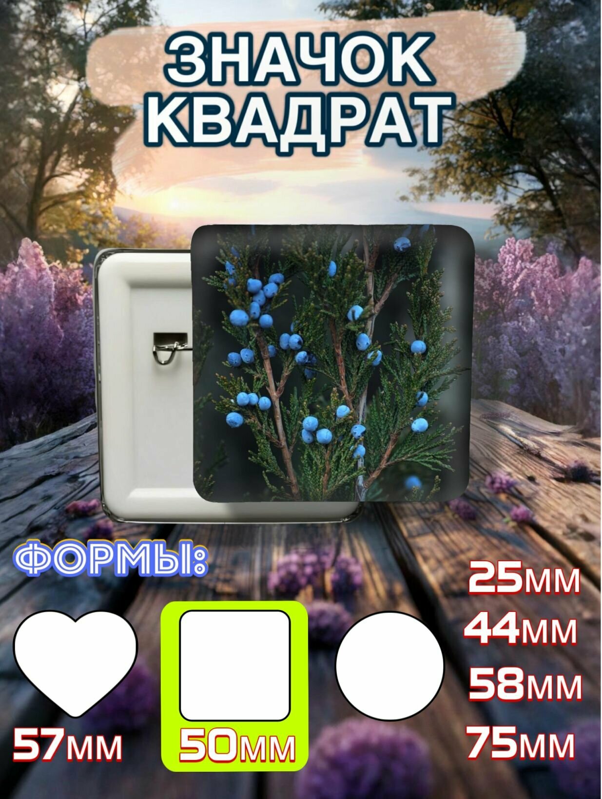 Значок, серебряный, черный, красный, голубой