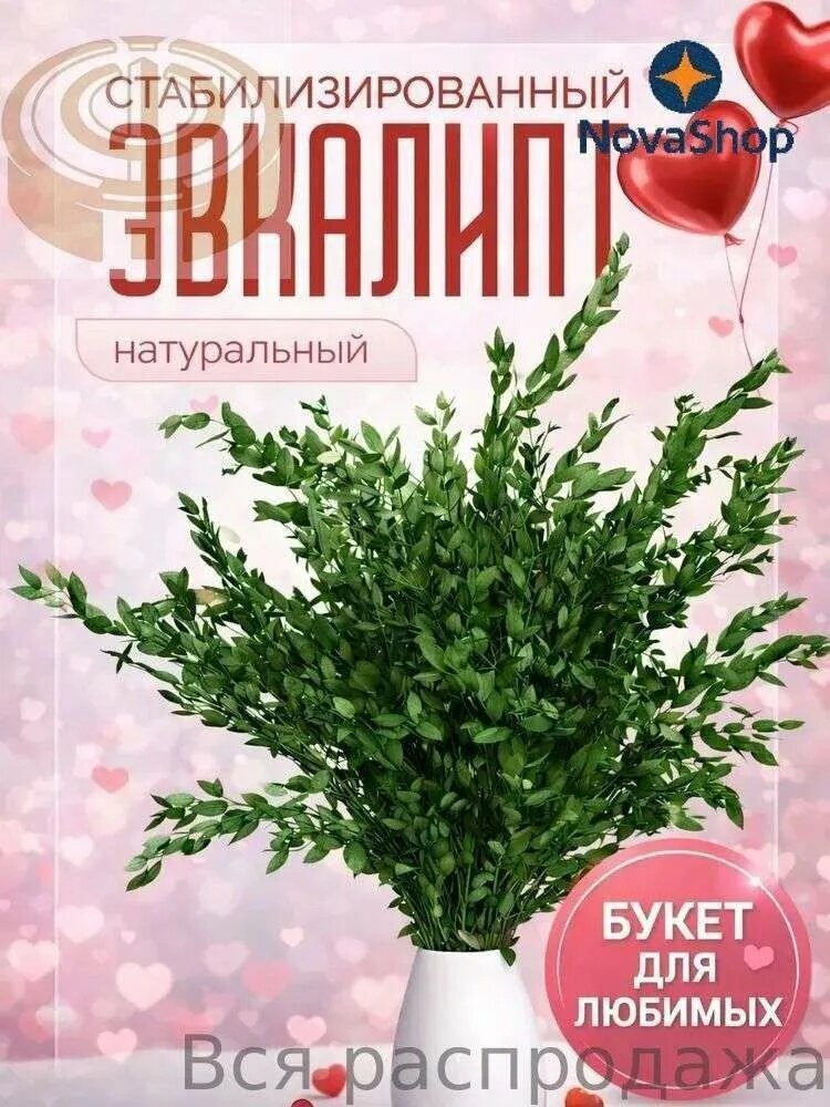 Сухоцветы Эвкалипт, 45 см, 120 гр