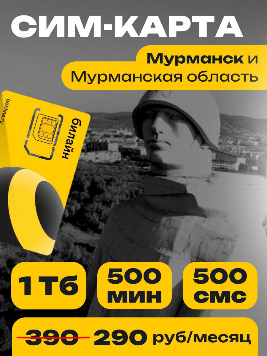 Сим-карта Билайн тариф Эксклюзивный Онлайн Лайт Мурманская область 1024 Гб + 500 минут за 290 руб.