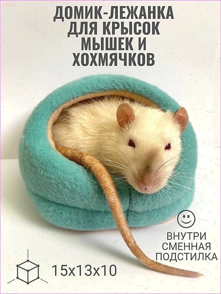 Домик со съемной лежанкой для крысы 15х13х10 голубой