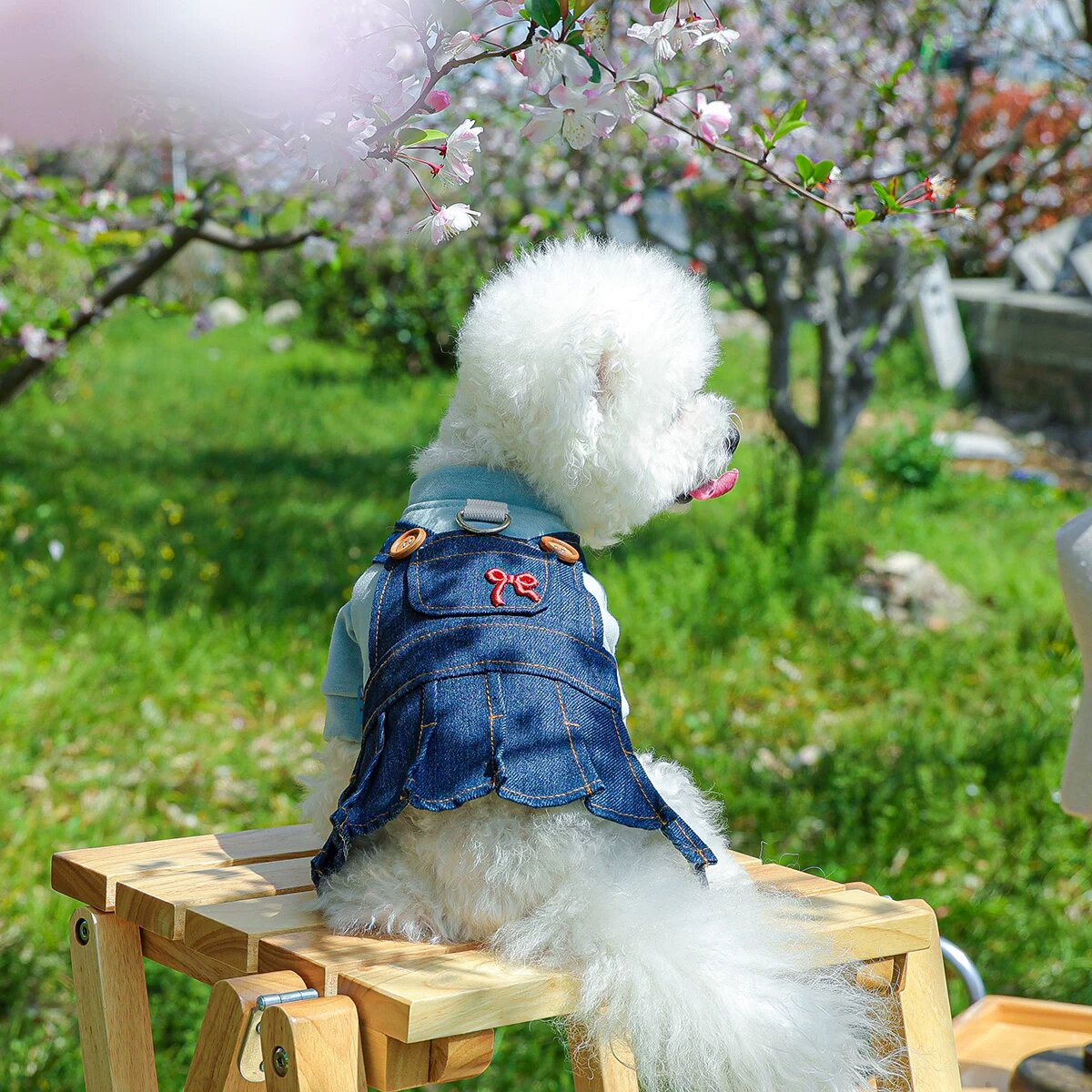 Petcircle Синяя деним-юбка-свитер для мини-собак, размер XS, обхват груди 30 см, длина 20 см, подходит для пород 1-1.5