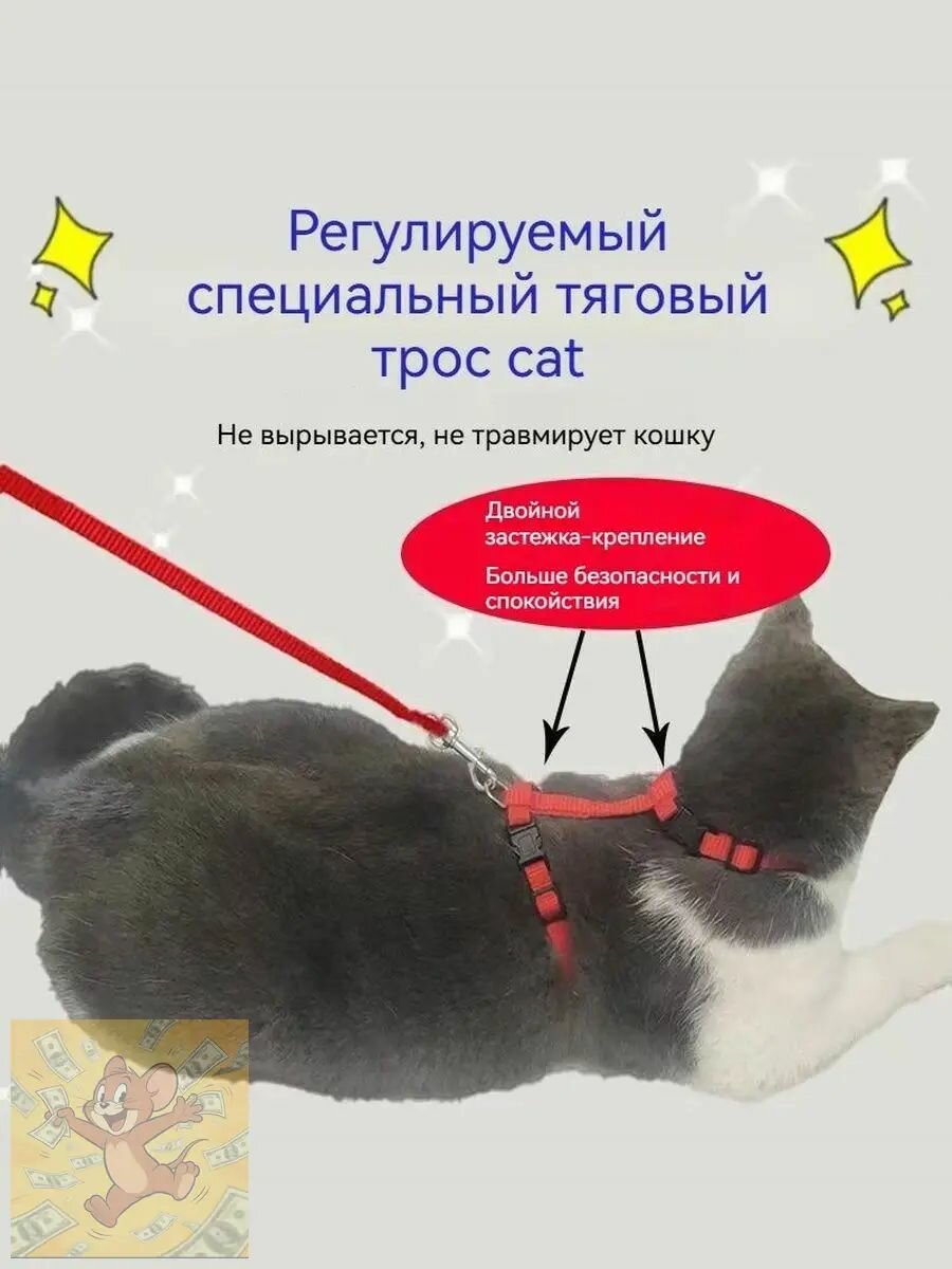 Быстросъёмная шлейка с поводком для кошки, 1.8 м для выгула