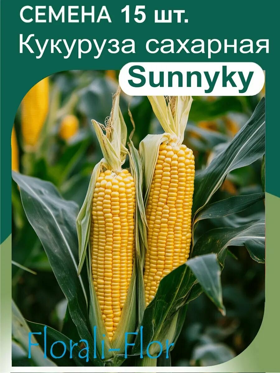 Семена Кукурузы
