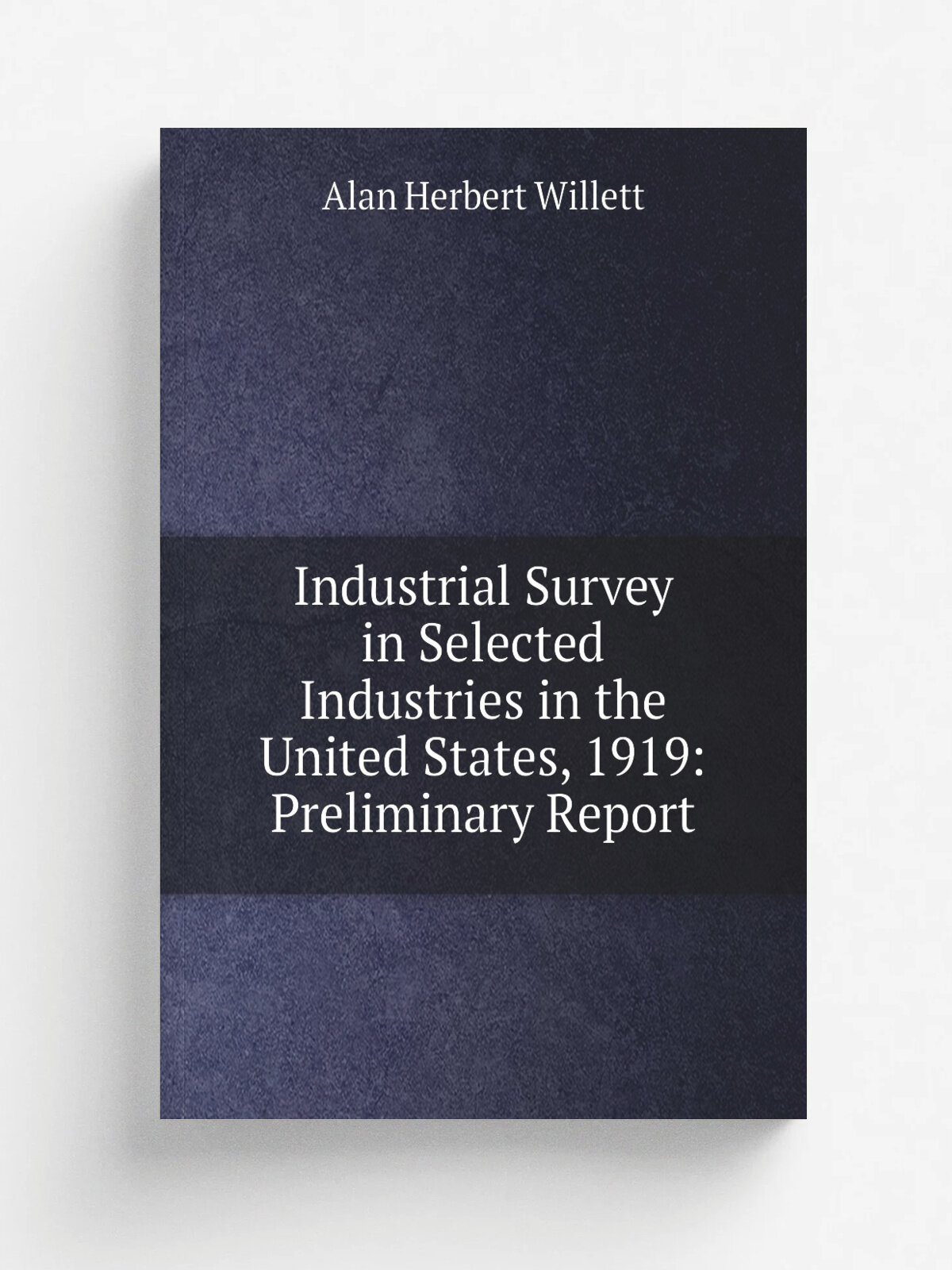 Industrial Survey in Selected Industries in the United States, 1919: Preliminary Report