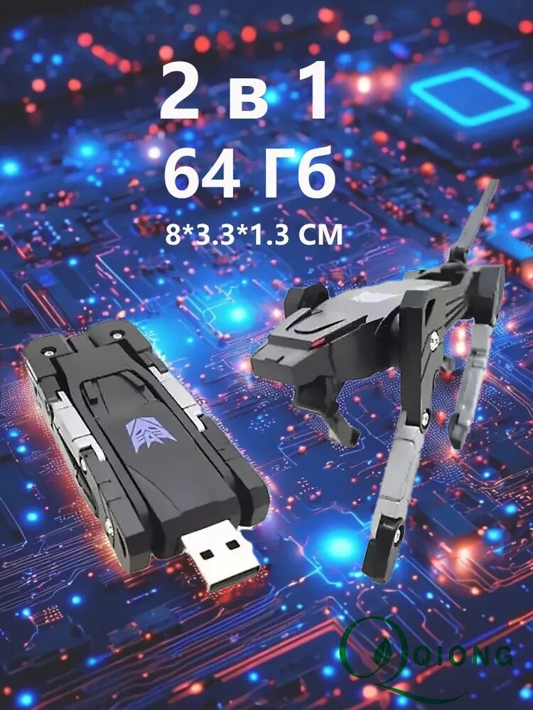 64 Гб Флеш-накопитель Трансформер Ravage 2 в 1, USB 2.0, Черный, 8*3.3*1.3 СМ