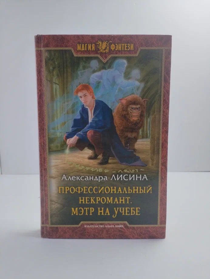 Профессиональный некромант. Мэтр на учебе