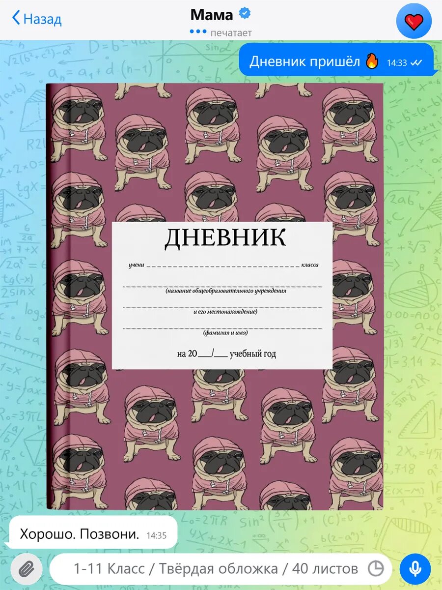 Школьный дневник с принтом Роблокс
