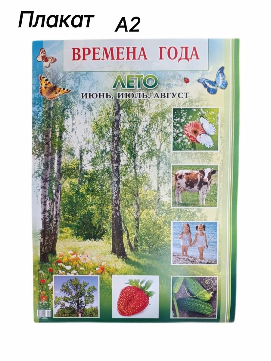 Плакат "Времена года. Лето" 48*68см