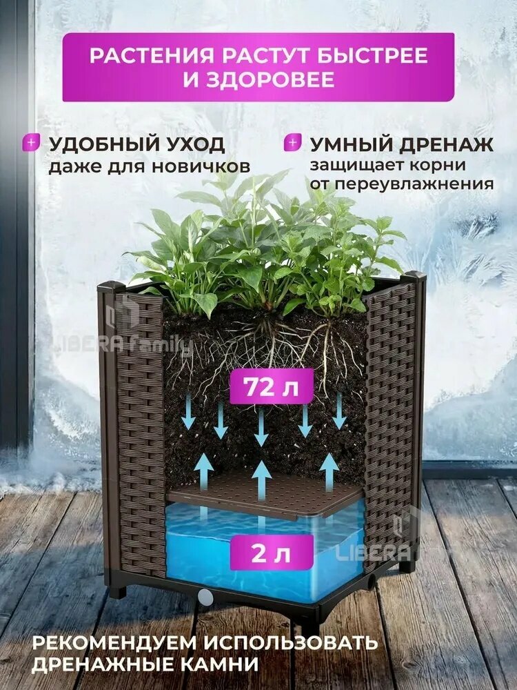Грядка — фото 1