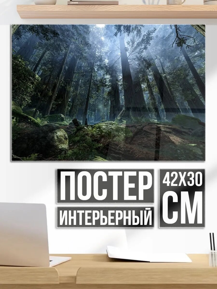 Плакат постер Таинственный лес