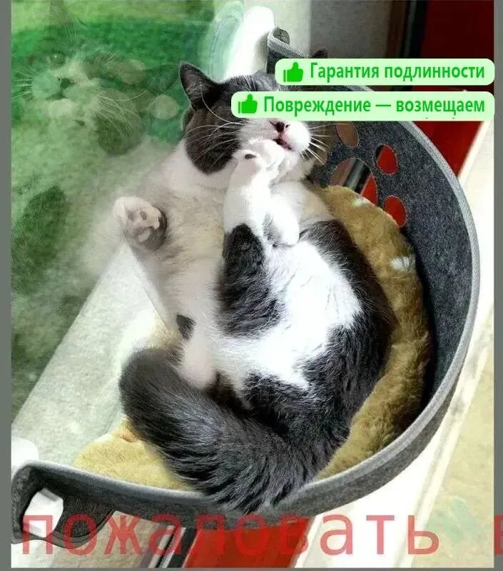 Подвесной гамак лежанка для кошек на окно на присосках