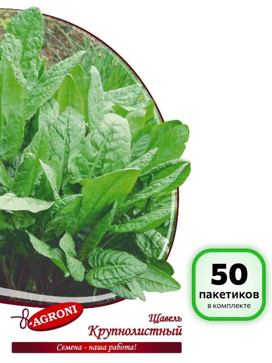 (50 шт.) - Семена Щавель крупнолистный (1,0г)