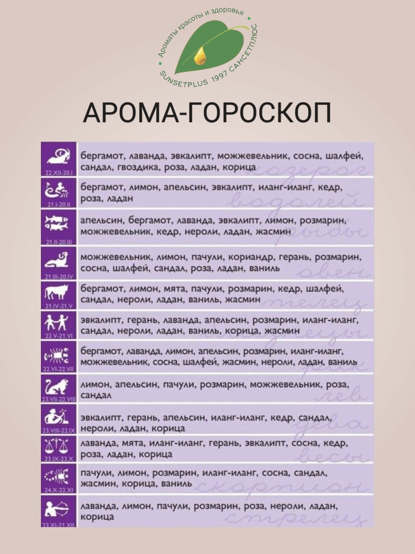 Эфирное масло чабрец 10 мл — фото 1