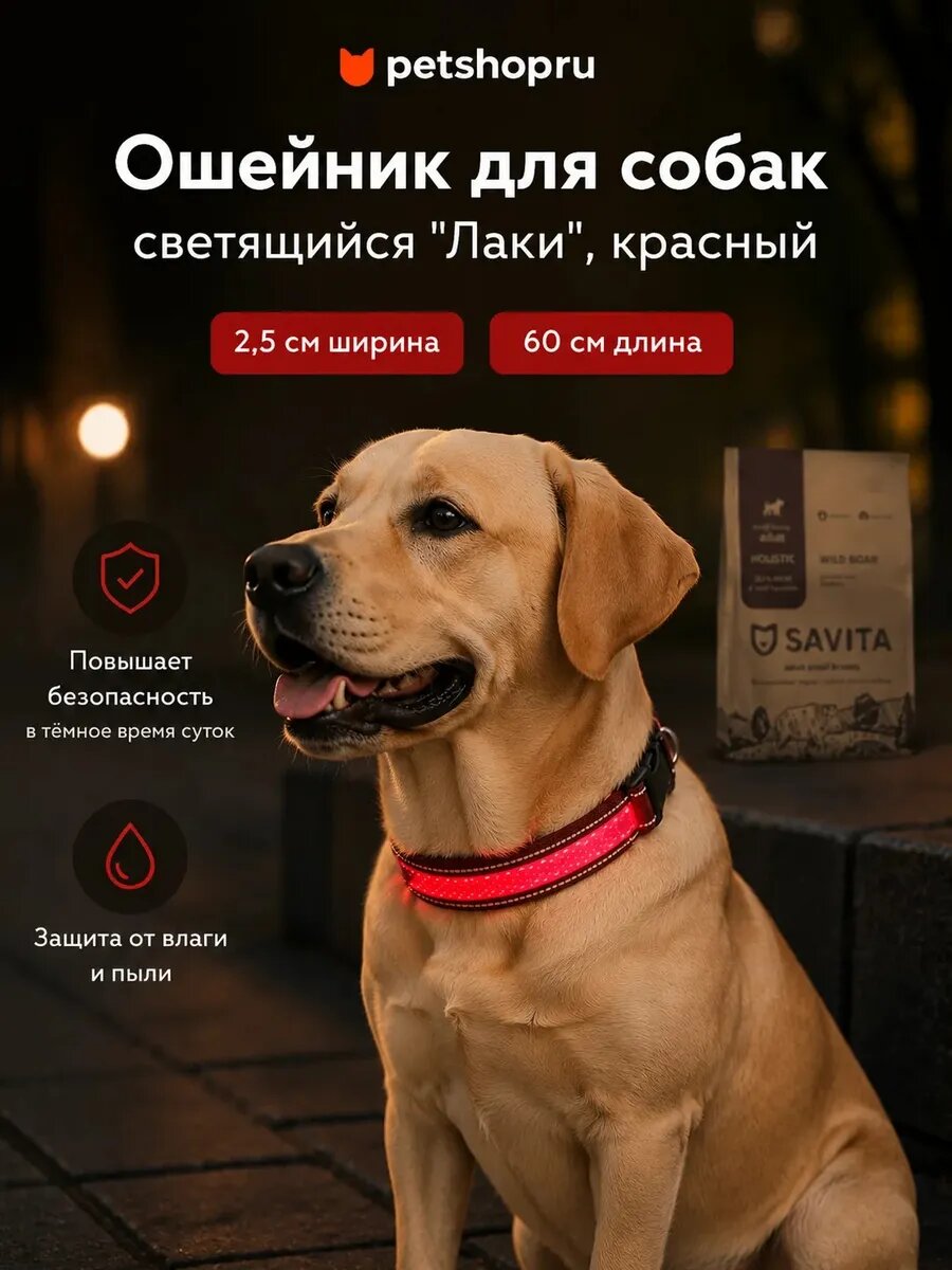 Tappi Светящийся ошейник "Лаки", L