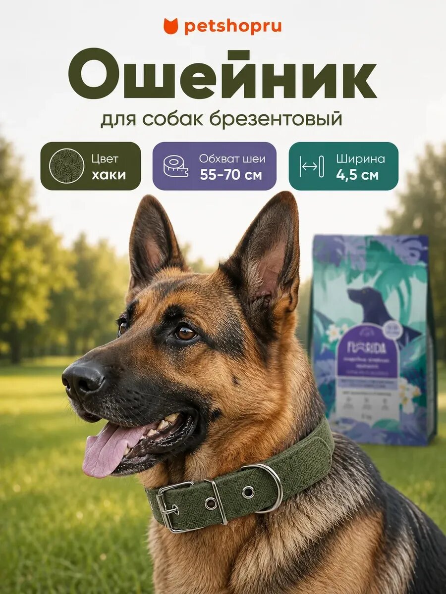 Ошейник брезентовый, 2 слоя
