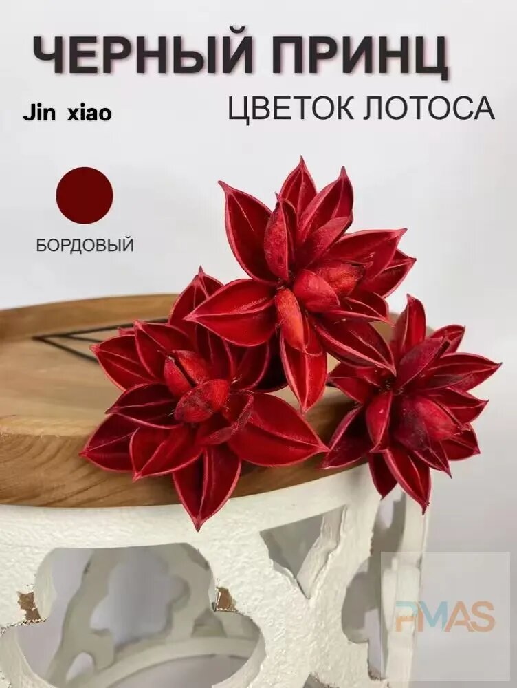 Сухоцветы Сухоцвет, 52 см, 300 гр, 3 шт