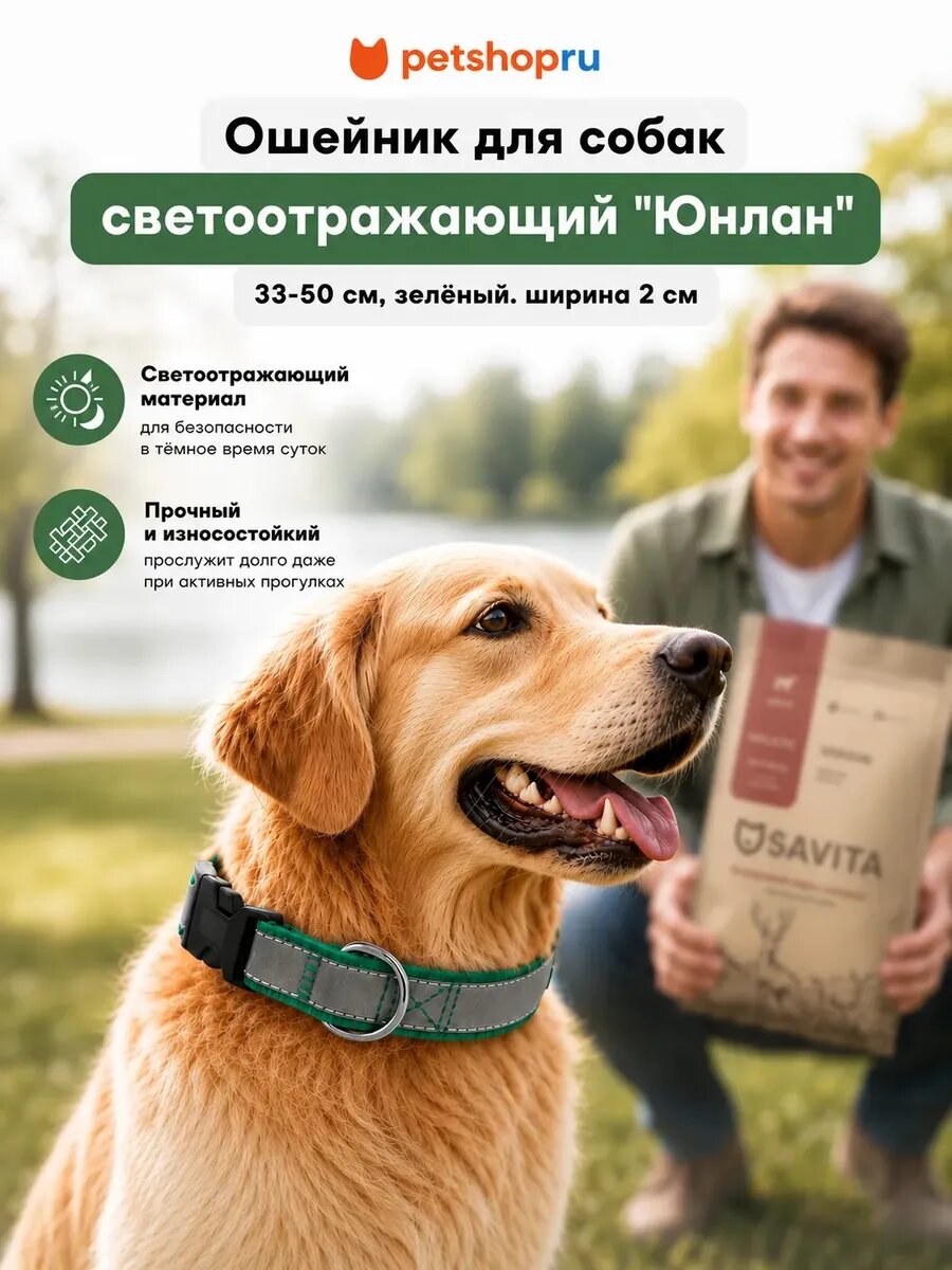 Tappi Ошейник для собак светоотражающий "Юнлан", 33-50 см