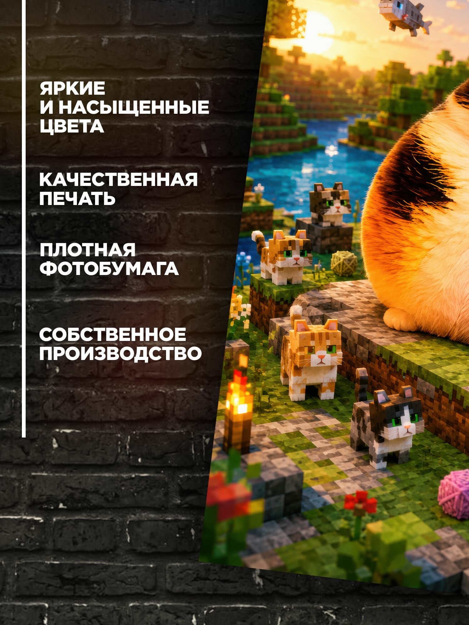 Постер на стену Котость мем — фото 1