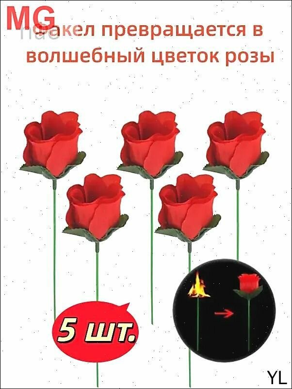 Факел превращается в волшебный цветок розы. Цвет: Красная роза, 5 шт.