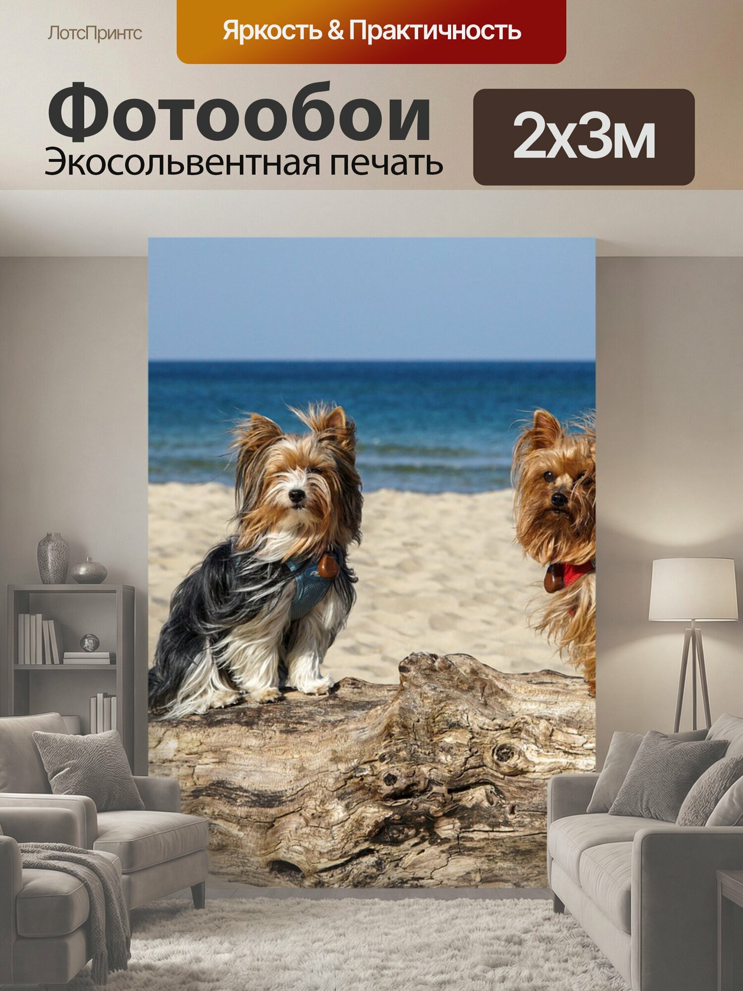 Фотообои "Йоркширский терьер, море, пляж" 200x300 см. экосольвентная печать