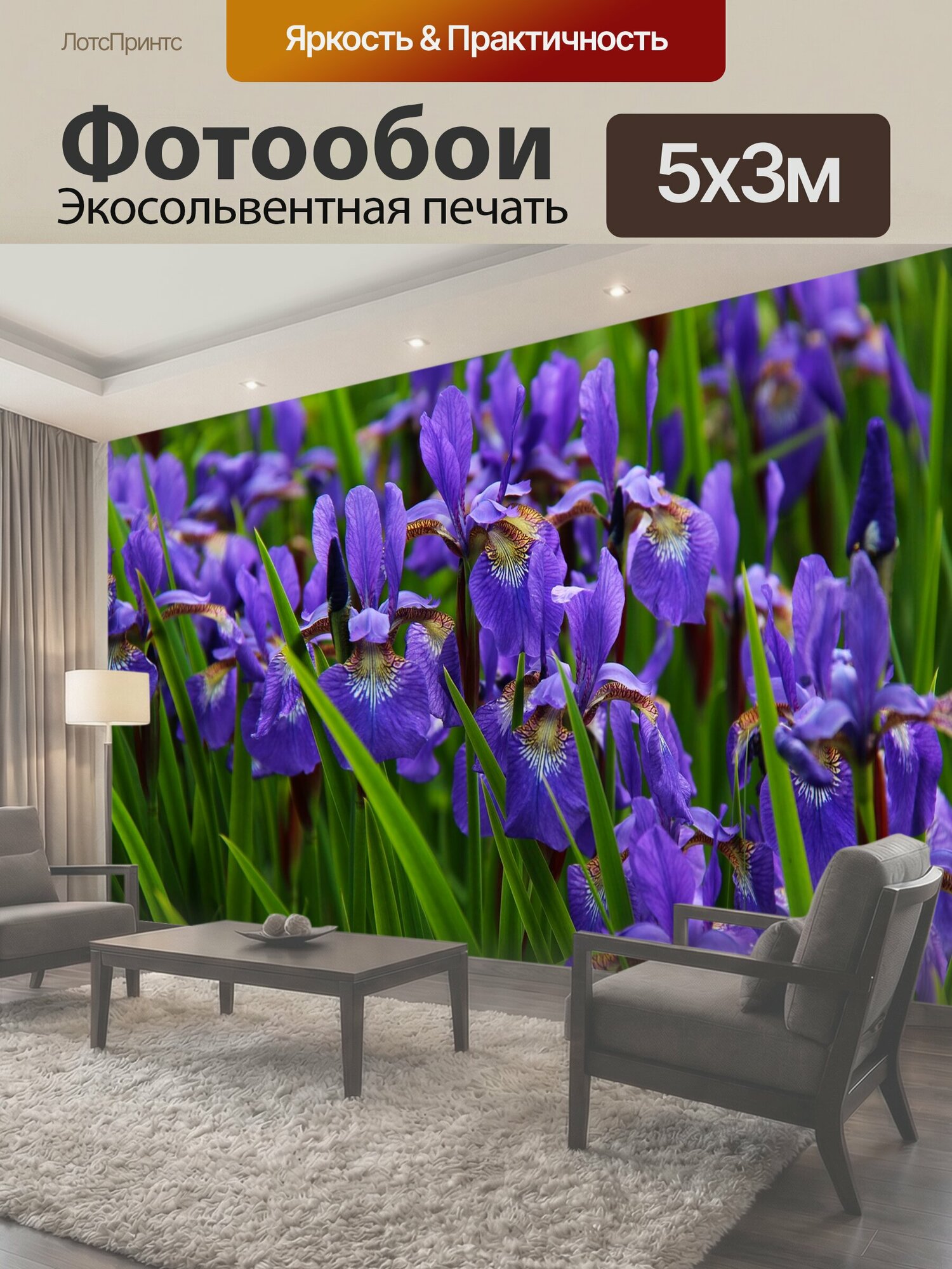Фотообои "Ирис, цветок, цветочный" 500x300 см. экосольвентная печать