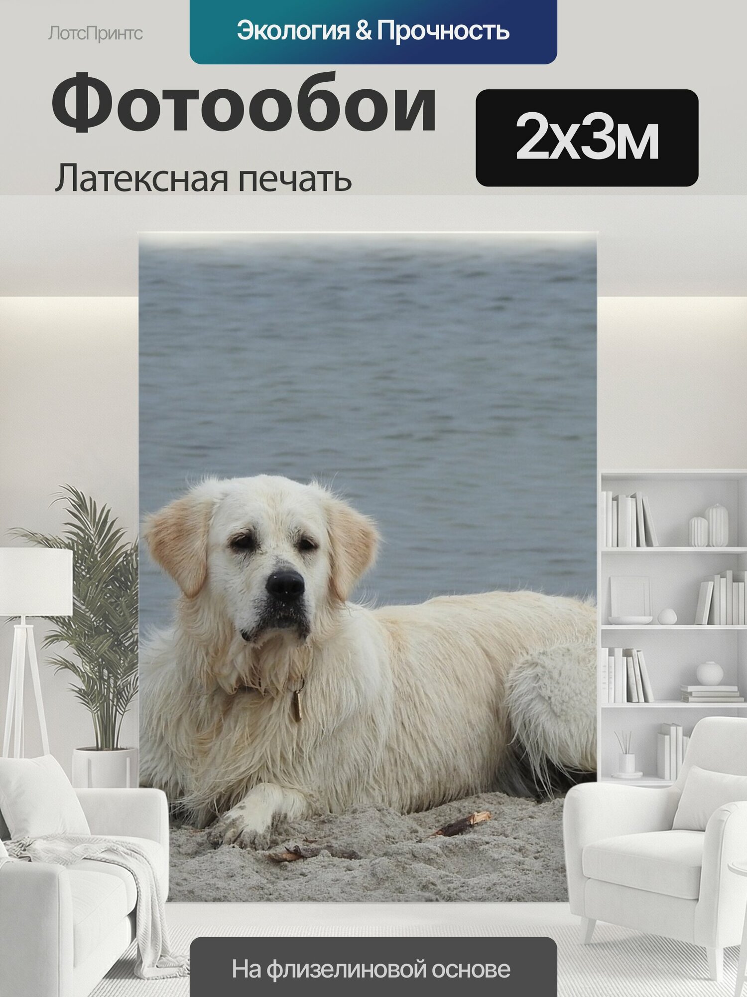 Фотообои моющиеся ударопрочные "Золотистый ретривер, собака, пляж" 200x300 см. латексная печать